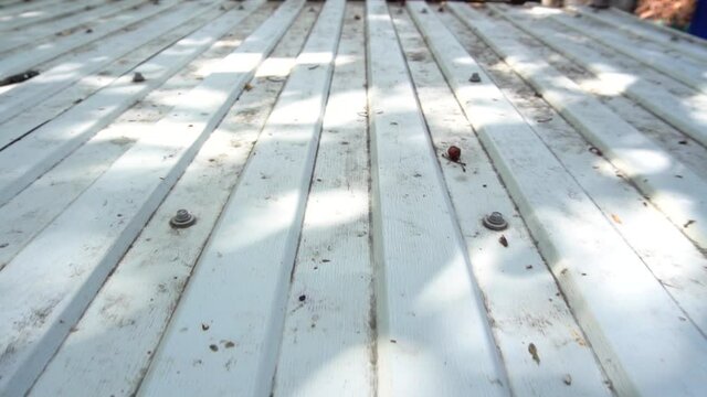 Weatherproof Images – Parcourir 5,381 le catalogue de photos, vecteurs ...