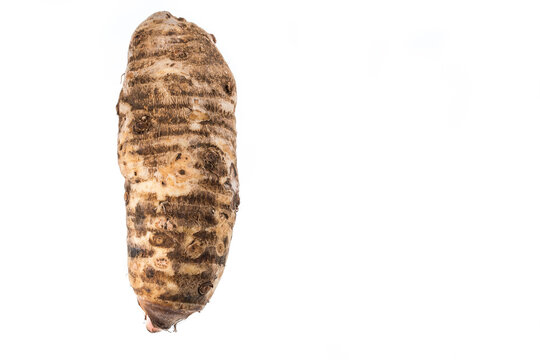 Macabo Bilder – Durchsuchen 865 Archivfotos, Vektorgrafiken und Videos ...