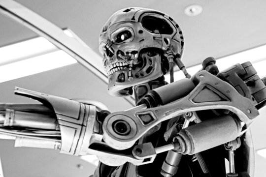 Endoskeleton Images – Browse 364 Stock Photos, Vectors, and Video ...