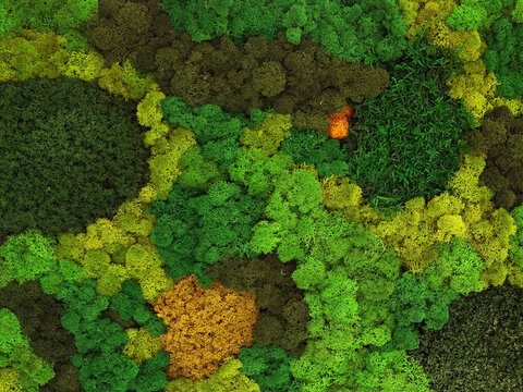 รูปภาพ"Moss Wall" – เลือกดูภาพถ่ายสต็อก เวกเตอร์ และวิดีโอ726 | Adobe Stock