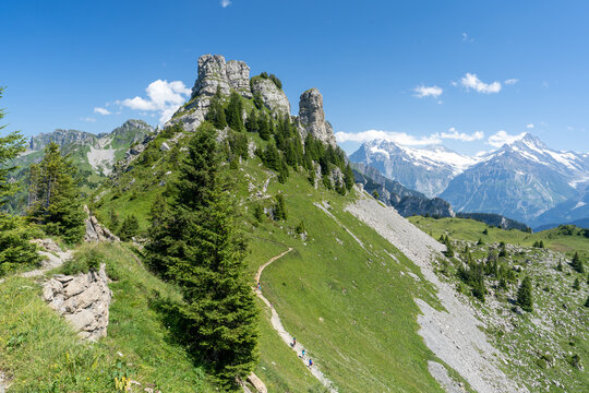 รูปภาพRaide – เลือกดูภาพถ่ายสต็อก เวกเตอร์ และวิดีโอ417 | Adobe Stock