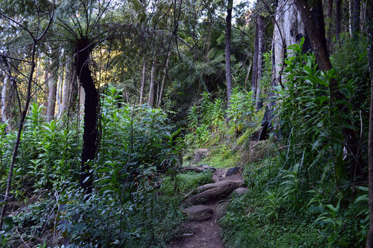 "Ruined Castle" Images – Browse 907 Stock Photos, Vectors, and Video ...