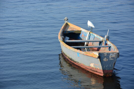 Barco Images – Parcourir 42,744 le catalogue de photos, vecteurs et ...