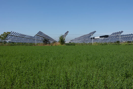 Agrivoltaics Images – Browse 60 Stock Photos, Vectors, and Video ...