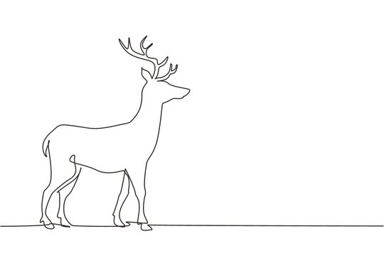 Deer Line Drawing Images – Browse 46,800 Stock Photos, Vectors, and ...
