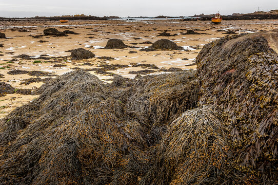 รูปภาพHaptera – เลือกดูภาพถ่ายสต็อก เวกเตอร์ และวิดีโอ1,357 | Adobe Stock