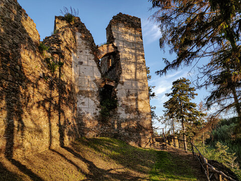 Natu Images – Browse 1,522 Stock Photos, Vectors, and Video | Adobe Stock