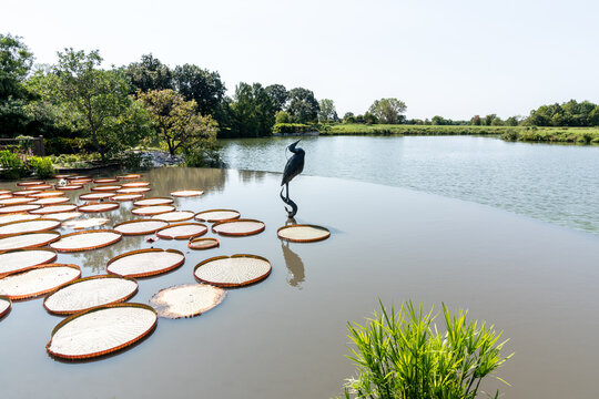 Craine Images – Browse 86 Stock Photos, Vectors, and Video | Adobe Stock