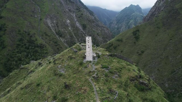 Pede Images – Browse 3,993 Stock Photos, Vectors, and Video | Adobe Stock