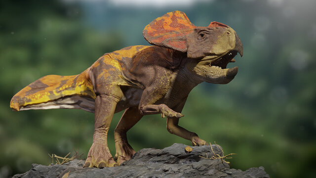 「Protoceratopsidae」の画像 - 27 件の Stock 写真、ベクターおよびビデオ | Adobe Stock