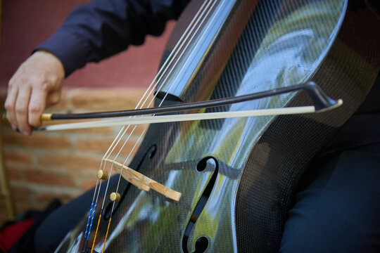 Chelo Images – Browse 308 Stock Photos, Vectors, and Video | Adobe Stock