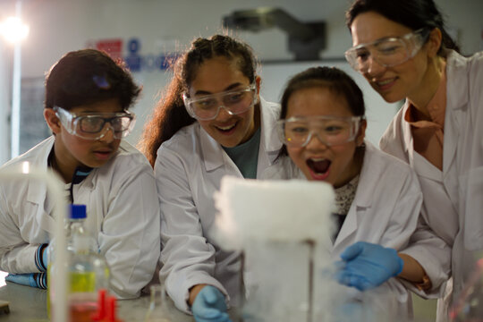 Stalk Images – Browse 2,511,076 Stock Photos, Vectors, and Video ...