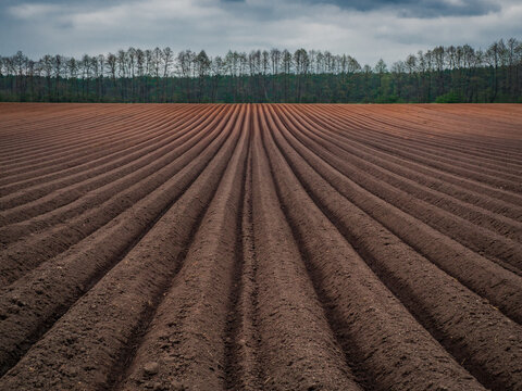 "Plowed Field" Bilder – Durchsuchen 6,800 Archivfotos, Vektorgrafiken ...