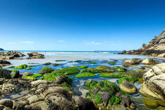 306,014 IMAGES, PHOTOS ET ILLUSTRATIONS VECTORIELLES STOCK APPROPRIÉES ...