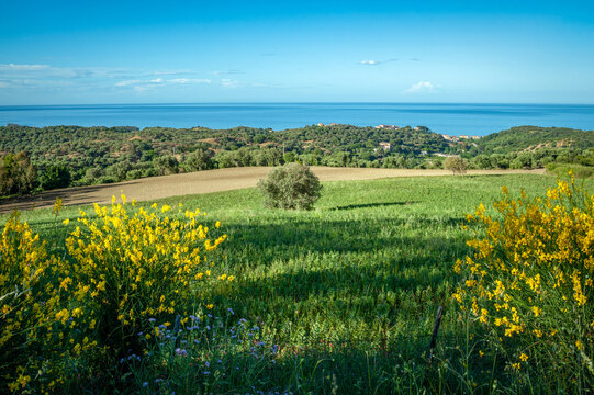 Torretta Imagens – Procure 1,571 fotos, vetores e vídeos | Adobe Stock