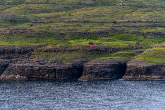 Eidi Images – Browse 672 Stock Photos, Vectors, and Video | Adobe Stock