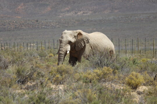 รูปภาพHauer – เลือกดูภาพถ่ายสต็อก เวกเตอร์ และวิดีโอ6,146 | Adobe Stock