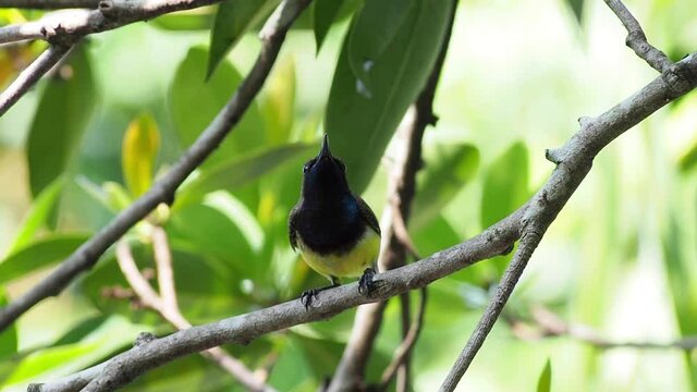 รูปภาพStemp – เลือกดูภาพถ่ายสต็อก เวกเตอร์ และวิดีโอ830 | Adobe Stock