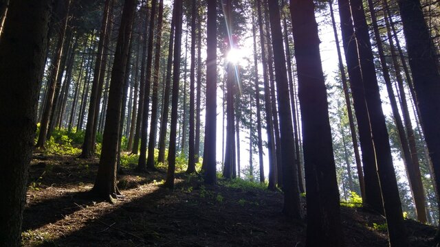 รูปภาพSunglare – เลือกดูภาพถ่ายสต็อก เวกเตอร์ และวิดีโอ435 | Adobe Stock