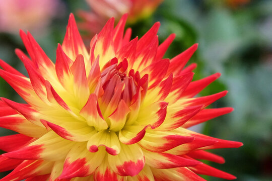 Kenora Bilder – Durchsuchen 316 Archivfotos, Vektorgrafiken und Videos ...