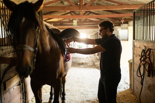 Hors Images – Browse 1,478,047 Stock Photos, Vectors, and Video | Adobe ...