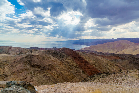 Imágenes de Masiv: descubre bancos de fotos, ilustraciones, vectores y ...