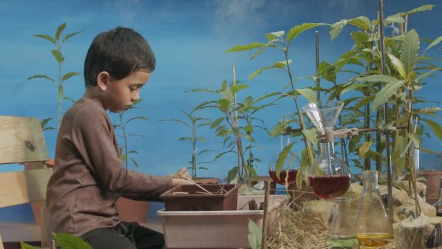 Kratom Tree Images – Browse 2,186 Stock Photos, Vectors, and Video ...