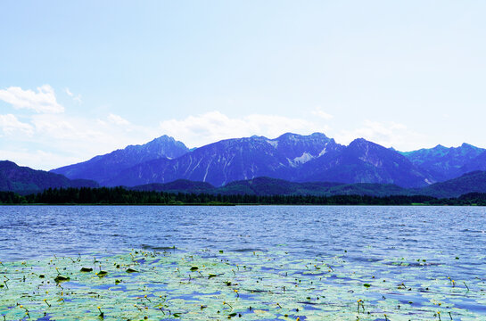 Surrounding Images – Browse 530,680 Stock Photos, Vectors, and Video ...