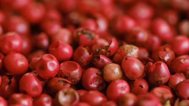 "Pink Pepper" Images – Browse 11,407 Stock Photos, Vectors, and Video ...