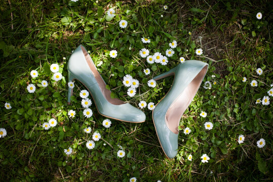 รูปภาพObcas – เลือกดูภาพถ่ายสต็อก เวกเตอร์ และวิดีโอ667 | Adobe Stock