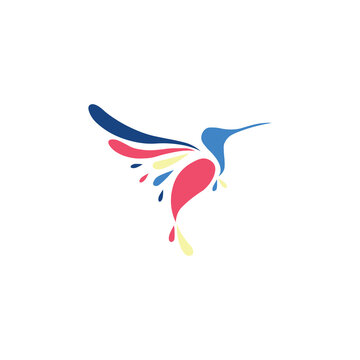 "Hummingbird Vector" Images – Parcourir 346 le catalogue de photos, vecteurs et vidéos | Adobe Stock