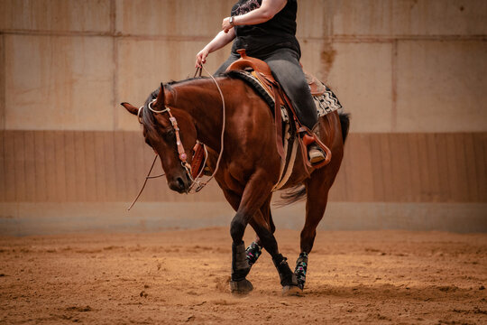 363,124 BEST Rid IMAGES, STOCK PHOTOS & VECTORS | Adobe Stock