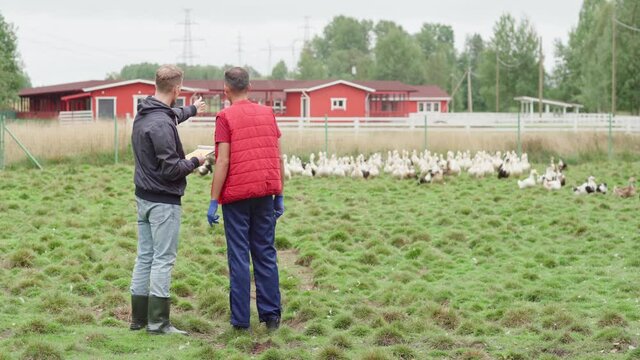 Gaggle Images – Parcourir 7,543 le catalogue de photos, vecteurs et ...