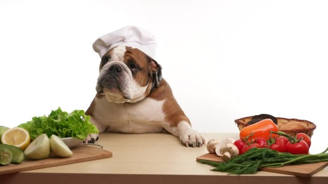 รูปภาพHead-Cook – เลือกดูภาพถ่ายสต็อก เวกเตอร์ และวิดีโอ265 | Adobe Stock