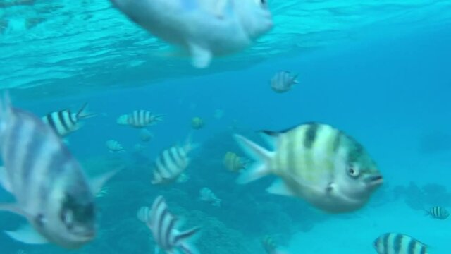 Saipan Bilder – Durchsuchen 2,346 Archivfotos, Vektorgrafiken und ...