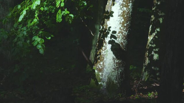 รูปภาพDepp – เลือกดูภาพถ่ายสต็อก เวกเตอร์ และวิดีโอ990 | Adobe Stock