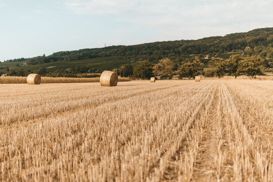 「Heurolle」の画像 - 192 件の Stock 写真、ベクターおよびビデオ | Adobe Stock