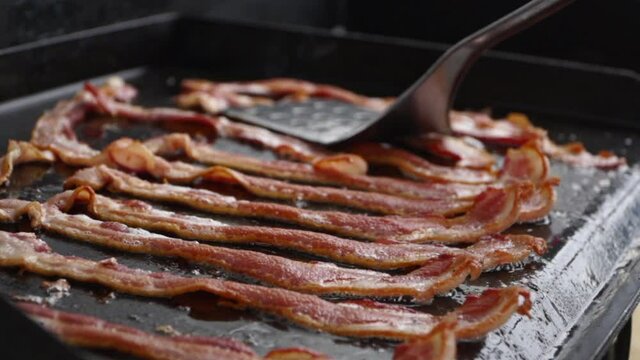 Flipper Images – Parcourir 46,303 le catalogue de photos, vecteurs et ...