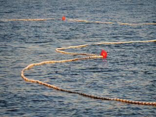 20+ Free Images Of Floaters | Free HD Downloads - Pikwizard