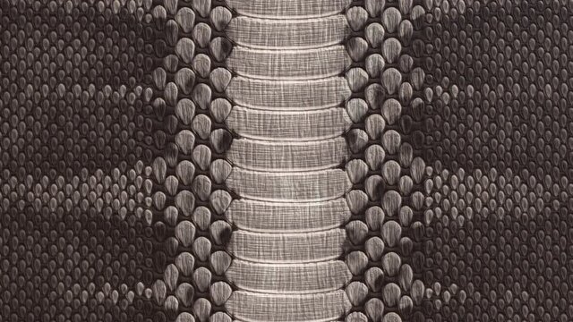 Cobra Skin Images – Browse 20,011 Stock Photos, Vectors, and Video ...