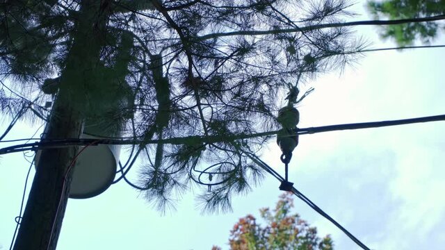 "Distribution Transformer" Images – Browse 295 Stock Photos, Vectors ...