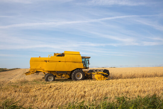 Dreschen bilder – Bläddra bland 1,369 stockfoton, vektorer och videor ...