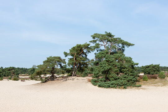 Sandbank Изображения: просматривайте стоковые фотографии, векторные ...