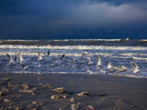 รูปภาพStada – เลือกดูภาพถ่ายสต็อก เวกเตอร์ และวิดีโอ1,962 | Adobe Stock