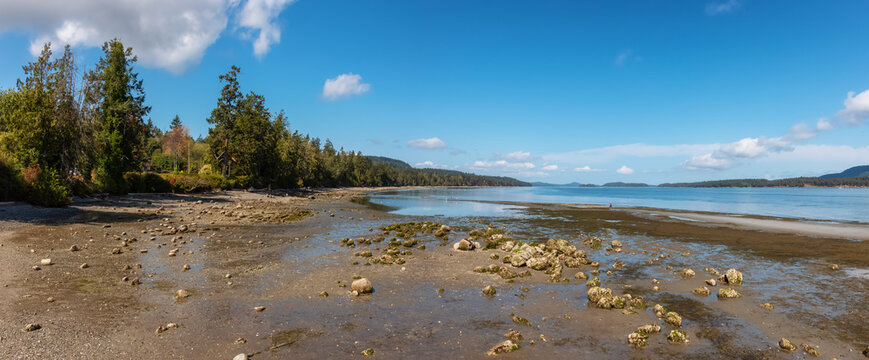 "Salt Spring Island" Images – Browse 673 Stock Photos, Vectors, and ...