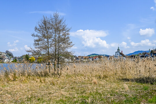 Immensee Images – Browse 411 Stock Photos, Vectors, and Video | Adobe Stock