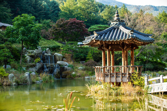 Jeongja-Bilder: Stock-Fotos & -Videos. | Adobe Stock