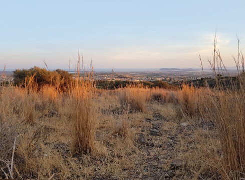 รูปภาพAncia – เลือกดูภาพถ่ายสต็อก เวกเตอร์ และวิดีโอ874 | Adobe Stock
