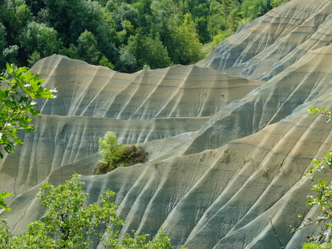รูปภาพRavins – เลือกดูภาพถ่ายสต็อก เวกเตอร์ และวิดีโอ119 | Adobe Stock