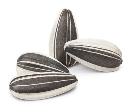 57 BEST Semki IMAGES, STOCK PHOTOS & VECTORS | Adobe Stock